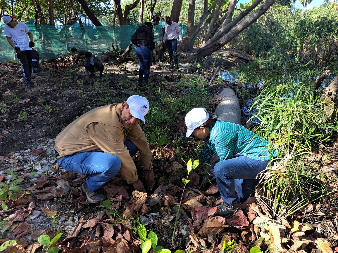 Medio Ambiente inicia programa de restauración de humedales en lagunas ...