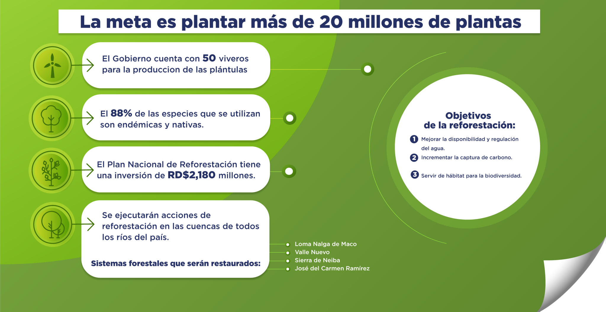 Plan Nacional de Reforestación | Ministerio de Medio Ambiente y ...