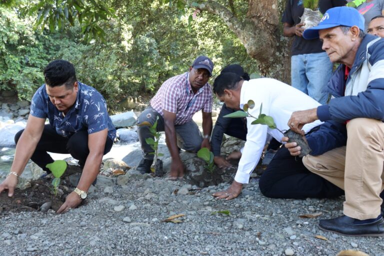 Medio Ambiente realiza jornada de reforestación en cuenca del río ...