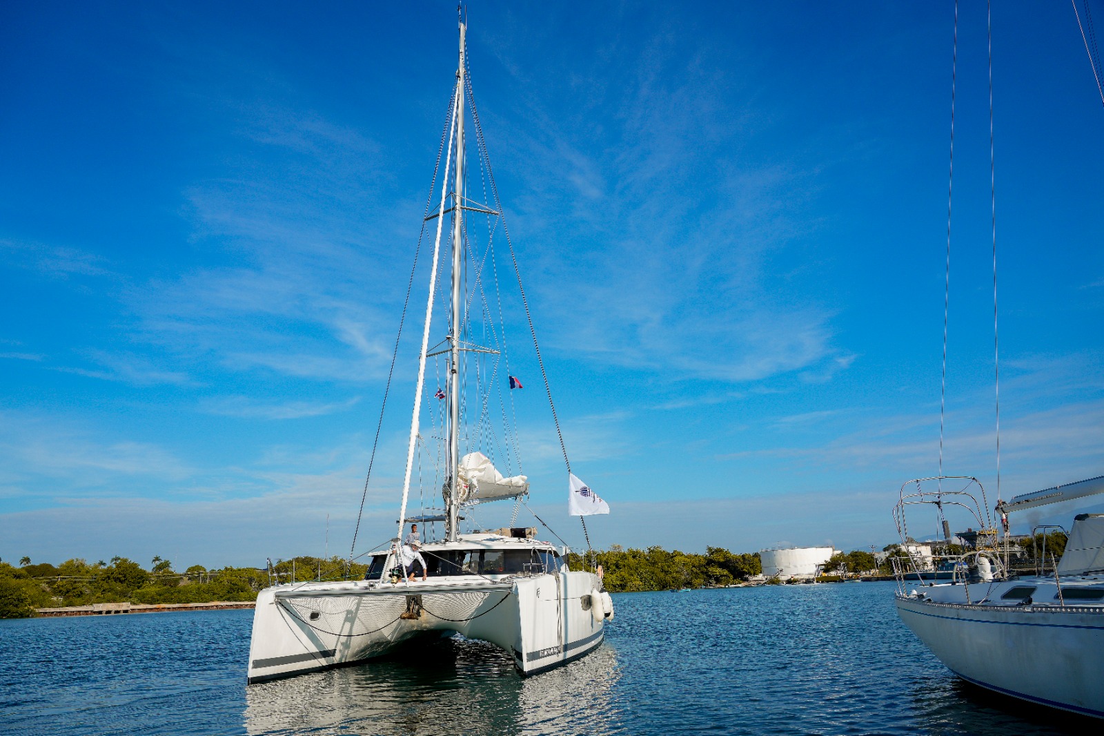 Expedición científica oceánica en la Cordillera Beata registra 80 ...