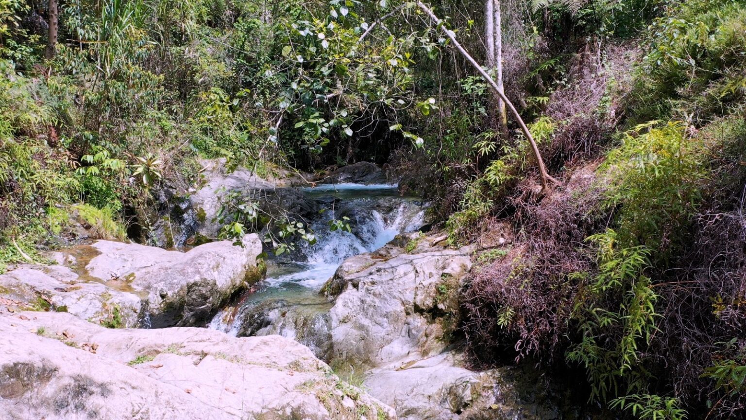 Medio Ambiente recuerda a ciudadanía la importancia de cuidar la ...