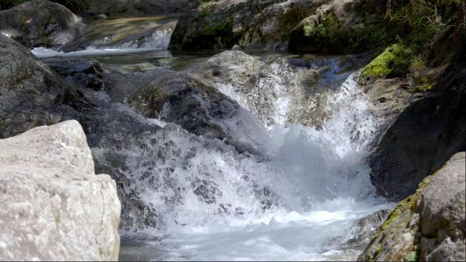 Medio Ambiente completa proceso de socialización proyecto Reserva de ...