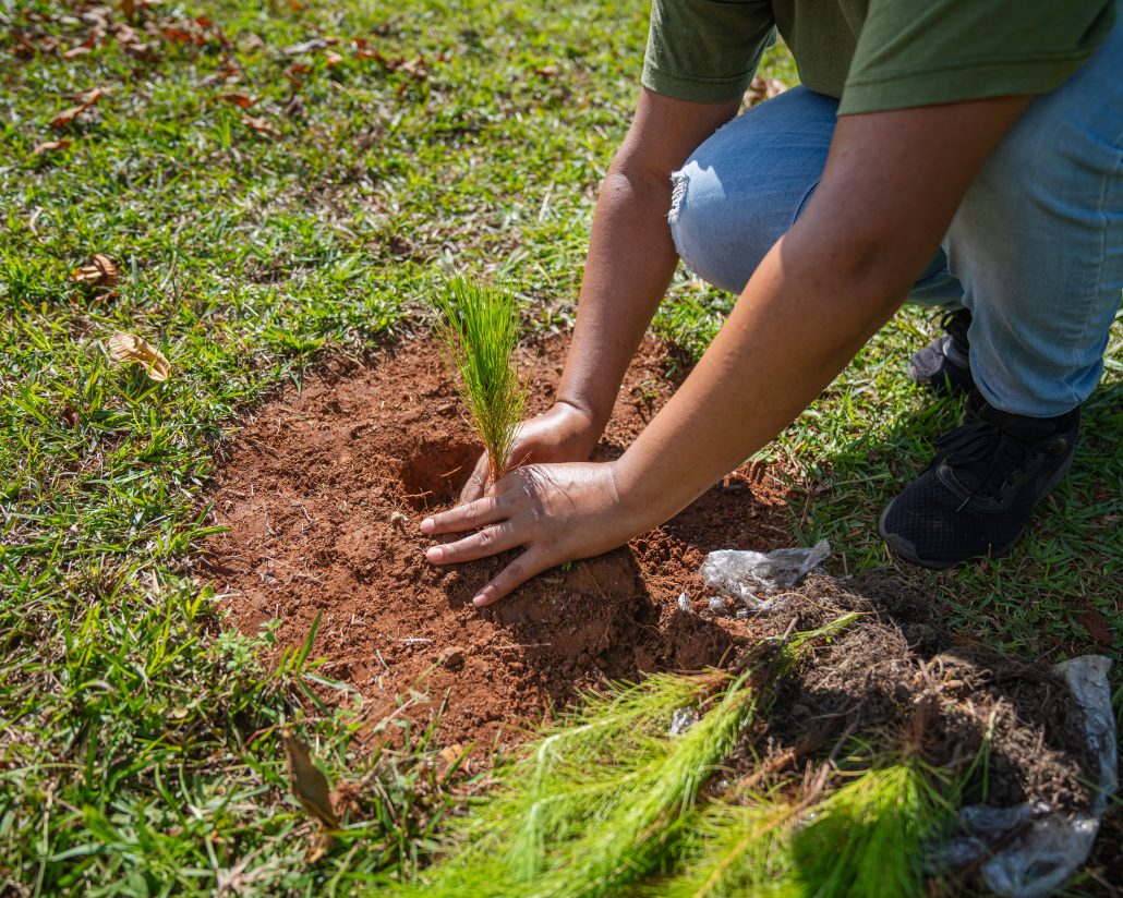 | Ministerio de Medio Ambiente y Recursos Naturales