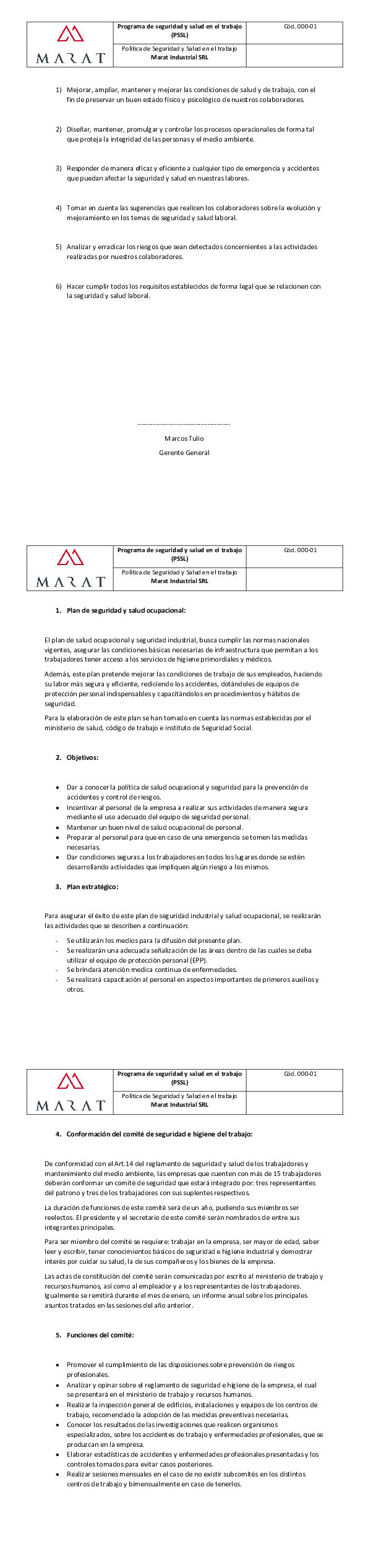 Política de Seguridad y Salud en el trabajo Marat Industrial SRL 2.0 | Ministerio de Medio ...